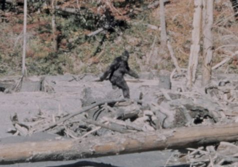 October 20th is National Sasquatch Awareness Day