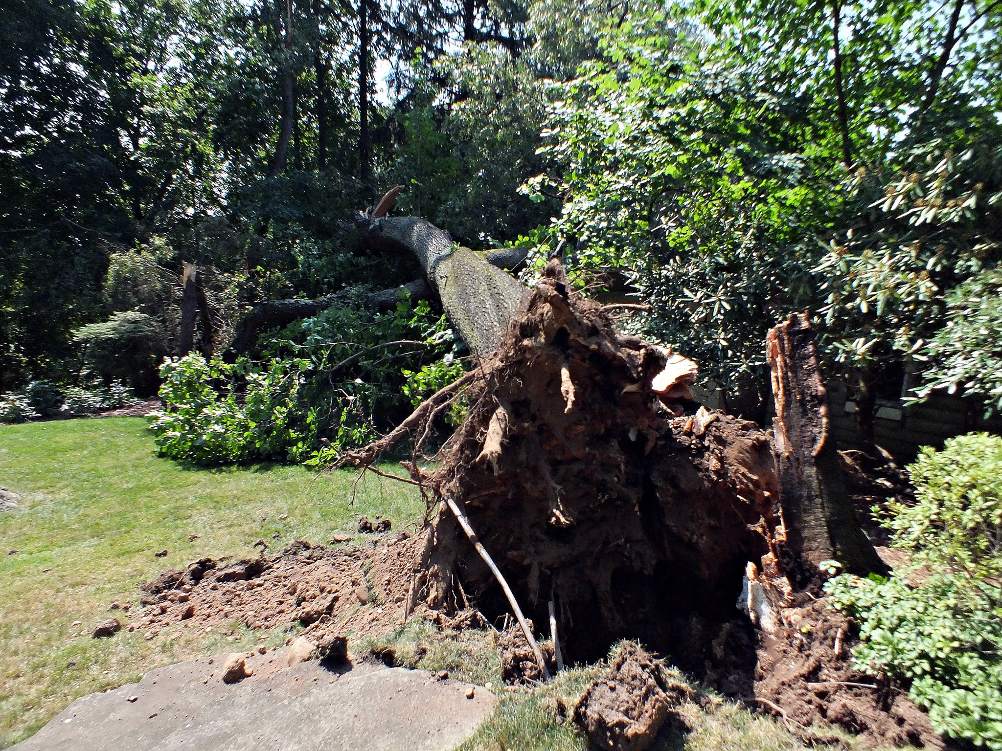 Falling Trees Flatten Ridgewood Garage, Crush Vehicle on Ridge Road ...