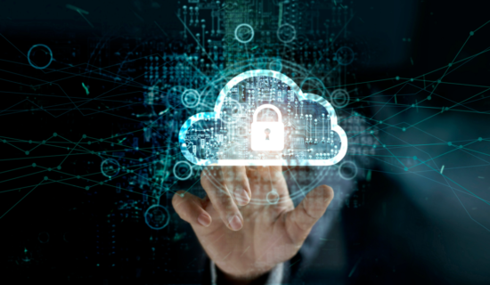 network security model - THE RIDGEWOOD BLOG.